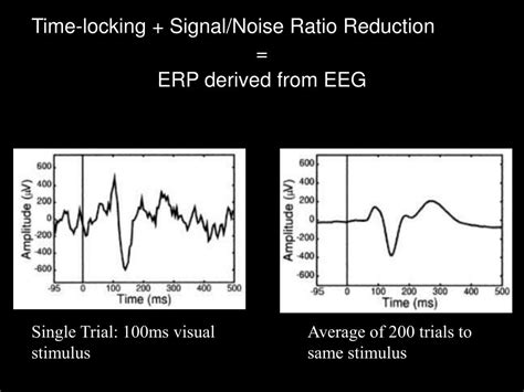 ppt electroencephalogram eeg and event related potentials erp