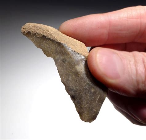 Superb Neanderthal Mousterian Naturally Backed Knife Flake Tool From