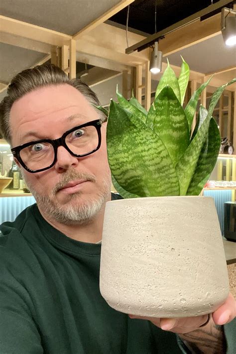 Thomas Danielsen On Linkedin You Cannot Plan Your Way To Success Do This Instead Take Action It…