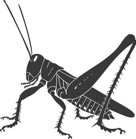 Page 2 Grasshopper Outline Vector Art Icons And Graphics For Free