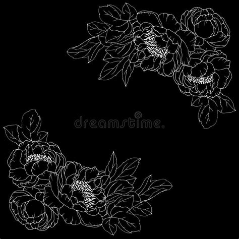 2497 Flower Vector Illustration Linear Drawing Flowers With Leaves