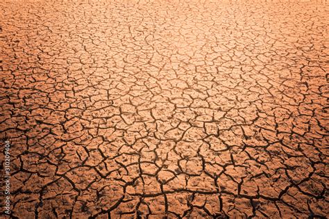 The Impact Of Global Warming On Sun Cracked Soil And The Loss Of All