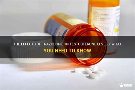 The Effects Of Trazodone On Testosterone Levels What You Need To Know