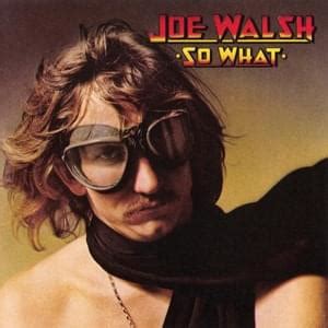 Joe Walsh Turn To Stone Lyrics Genius Lyrics