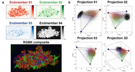 A Data Geometry For The Joint Dataset The Rank Four Approximation