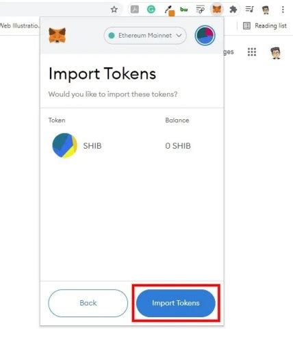 how to add a custom token to metamask followchain
