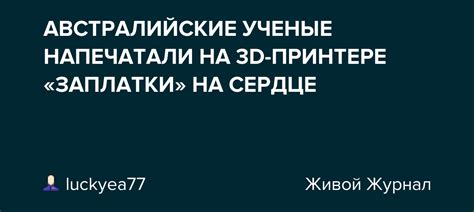 АВСТРАЛИЙСКИЕ УЧЕНЫЕ НАПЕЧАТАЛИ НА 3D-ПРИНТЕРЕ «ЗАПЛАТКИ» НА СЕРДЦЕ ...