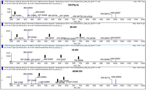 Representative Extracted Ion Chromatogram Eic Of Hydroxylated Download Scientific Diagram