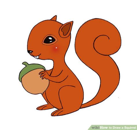 Ways To Draw A Squirrel WikiHow