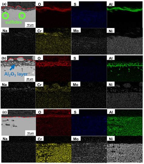 The Cross Section Morphologies And Energy Dispersive Spectrometer Eds