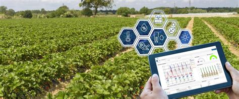 Hobonet Field Monitoring System Hoskin Scientific