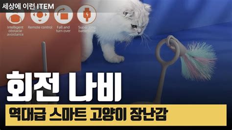 알리익스프레스 고양이 장난감 리뷰 원격 제어 자동차·회전 나비 Youtube