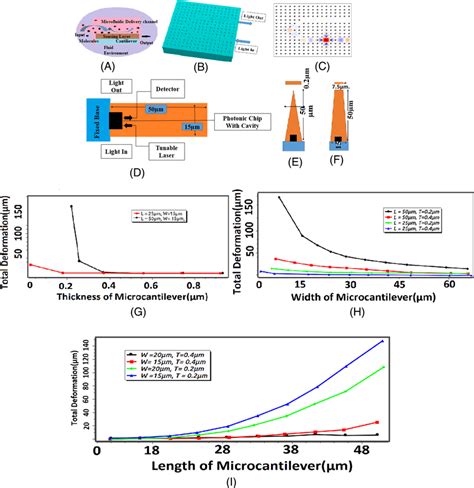 A Molecular Interaction With Microcantilever B 3d View Of Sensing Download Scientific
