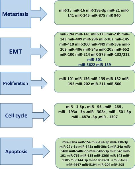 Figure 1 From The Potential Diagnostic And Prognostic Value Of Circulating Micrornas In The