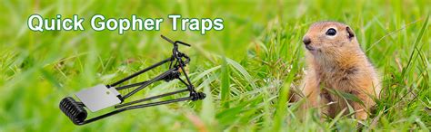 16 Pack Outdoor Gopher Traps Reusable Metal Easy Set Weather Resistant Gopher