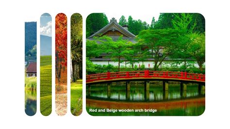 Expending Card Effect Using Html Css And Javascript Youtube