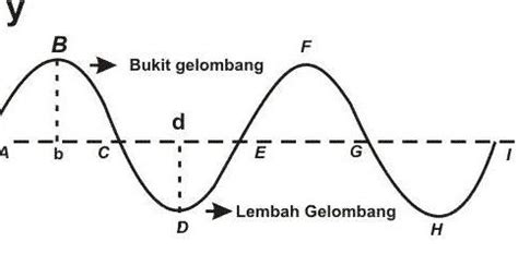 6 Jenis Jenis Gelombang Beserta Ciri Ciri Dan Contohnya Lengkap