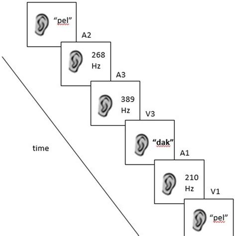 An Example Of A Grammatical Sequence Used In The Auditory Condition Dof