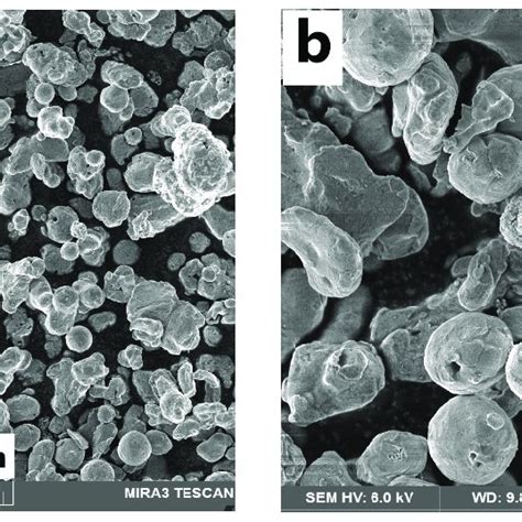 Sem Image Of The Cu Particles In The As Received Condition A General Download Scientific