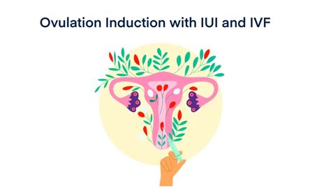 Ovulation Induction Benefits Process Side Effects Intercourse