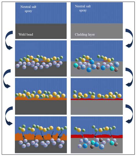 Metals Free Full Text Wear And Corrosion Resistance Of Fecocrxnial High Entropy Alloy