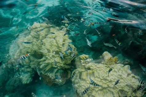 Which College Major Poses The Greatest Difficulty