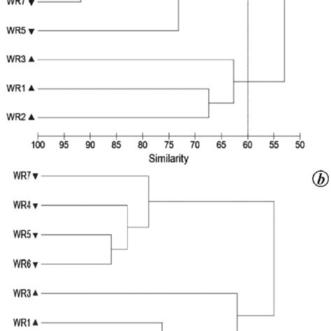Dendrogram For Hierarchical Clustering Using Group Average Linking