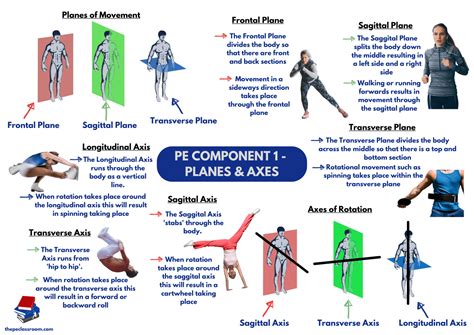 Pe Cheat Sheets Download The Pe Classroom