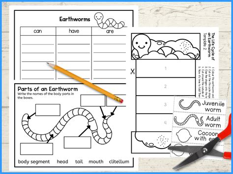 Life Cycle Of An Earthworm Sequence And Fold Craft Activity Worms Cut