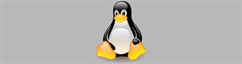 Unix File Permissions Muirlandoracle Blog