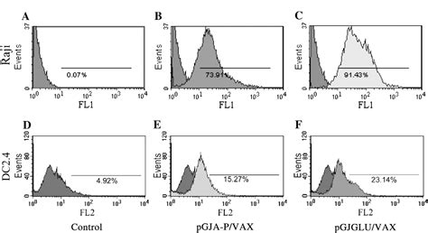 Figure 2 From The Effect Of Antigen Size On The Immunogenicity Of