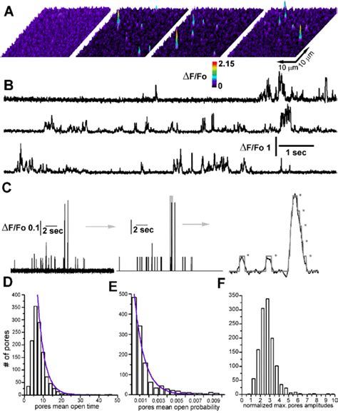 Simultaneous And Independent Recording Of Hundreds Of Functional Ab42 Download Scientific
