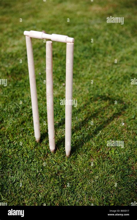 Cricket Wicket Bails