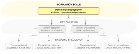 estimating bias in observed variant prevalence phylosamp