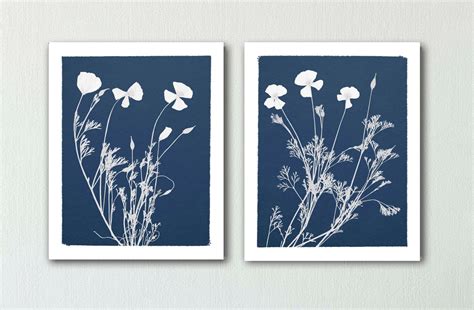 California Poppy Cyanotype Print Navy Blue Botanical Silhouette Etsy