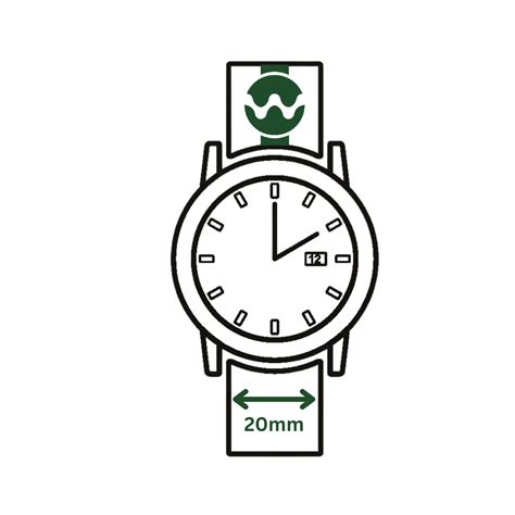 Omega Watch Band Compatibility Guide 2026 Watchbanddirect