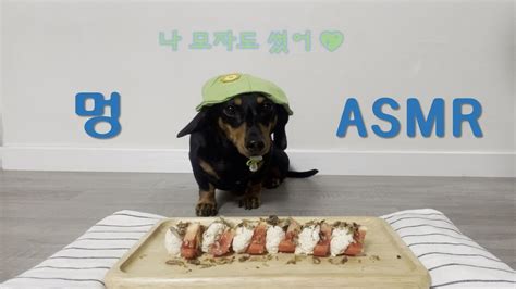 [강아지 먹방 Asmr] 나 카프레제 먹는 강아지야 🍅 Youtube