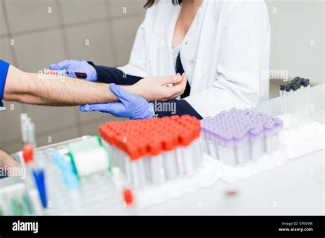Blood Sampling In The Medical Laboratory Stock Photo Alamy