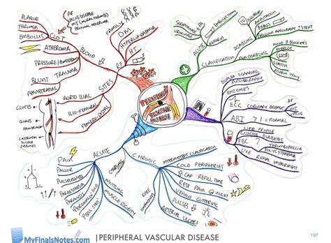 Peripheral Vascular Disease