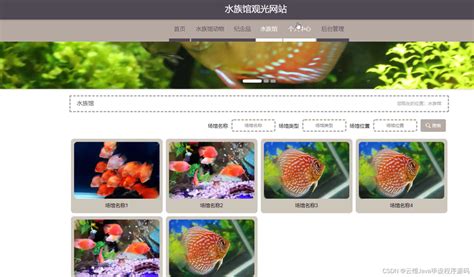 123个精心挑选的java计算机毕业设计项目，从0到1，步步为赢 编程之家