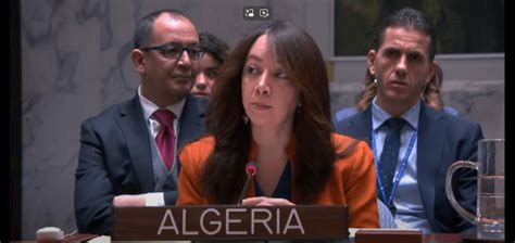 Secretary Of State Salma Mansouri At The Security Council On The Practice Of Multilateralism