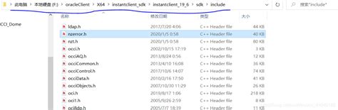 vs2019 c 使用 occi 连接调用 oracle （windows 10） vs2022怎么安装oracle19c连接驱动 csdn博客