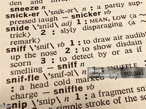 Definition Of Snicker Stock Photo - Download Image Now - Close-up ...