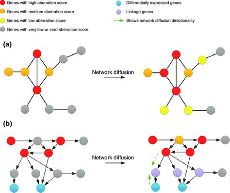 Network Based Methods To Identify Cancer Genes A Network Based