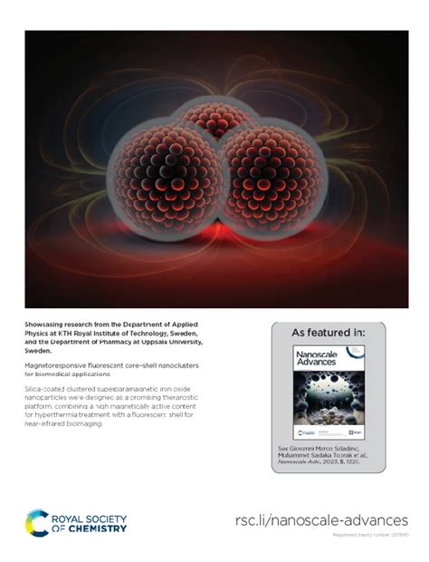 Kth Superparamagnetic Nanoparticles Giovanni Marco Saladino