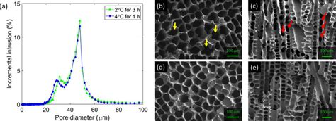 a pore size distribution from samples coarsened at 2 °c for 3 h and 4