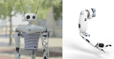 Bordeaux Pollen Robotics L Ve Millions D Euros Chos Judiciaires Girondins