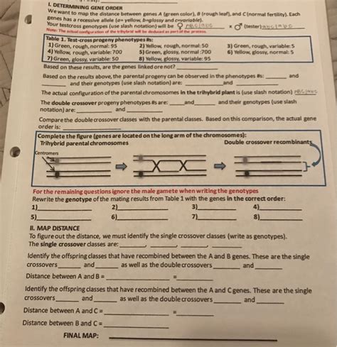 Solved L Determining Gene Order Nt To Map The Distance