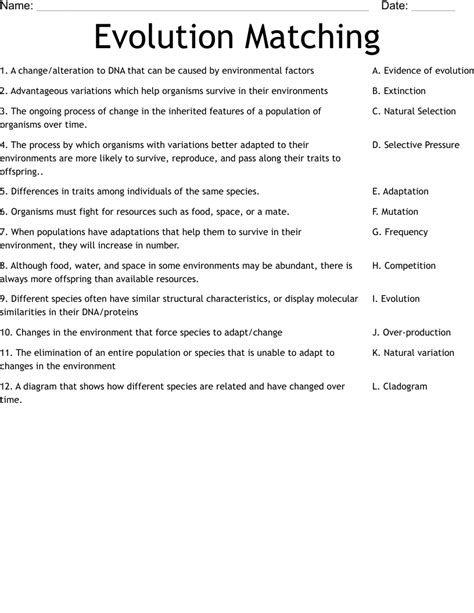 Reinforcement Evolution Key Worksheets Library