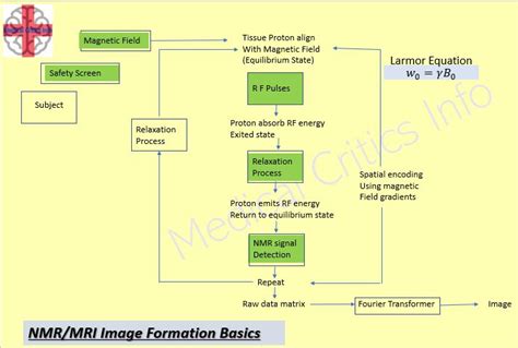 NMR Principle MRI Discover